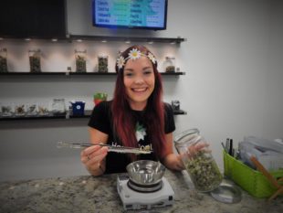 Herbal Risings Training and Courses | Training and Courses