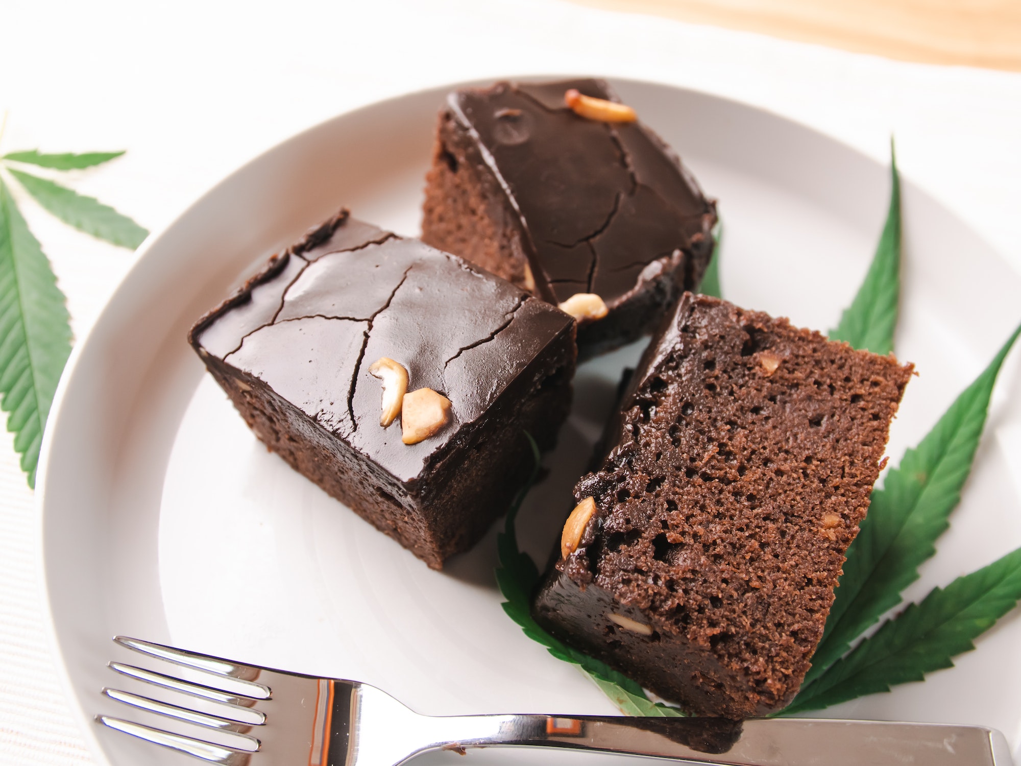 Welcome to Herbal Risings | Herbal and Cannabis Courses